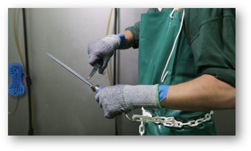 Safe Knife Handling Questions - Skills Base Australia