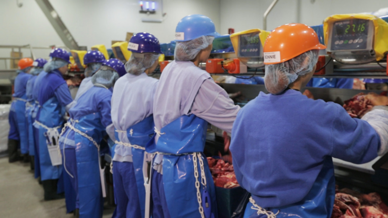 Personal Protective Equipment 2 - Skills Base Australia